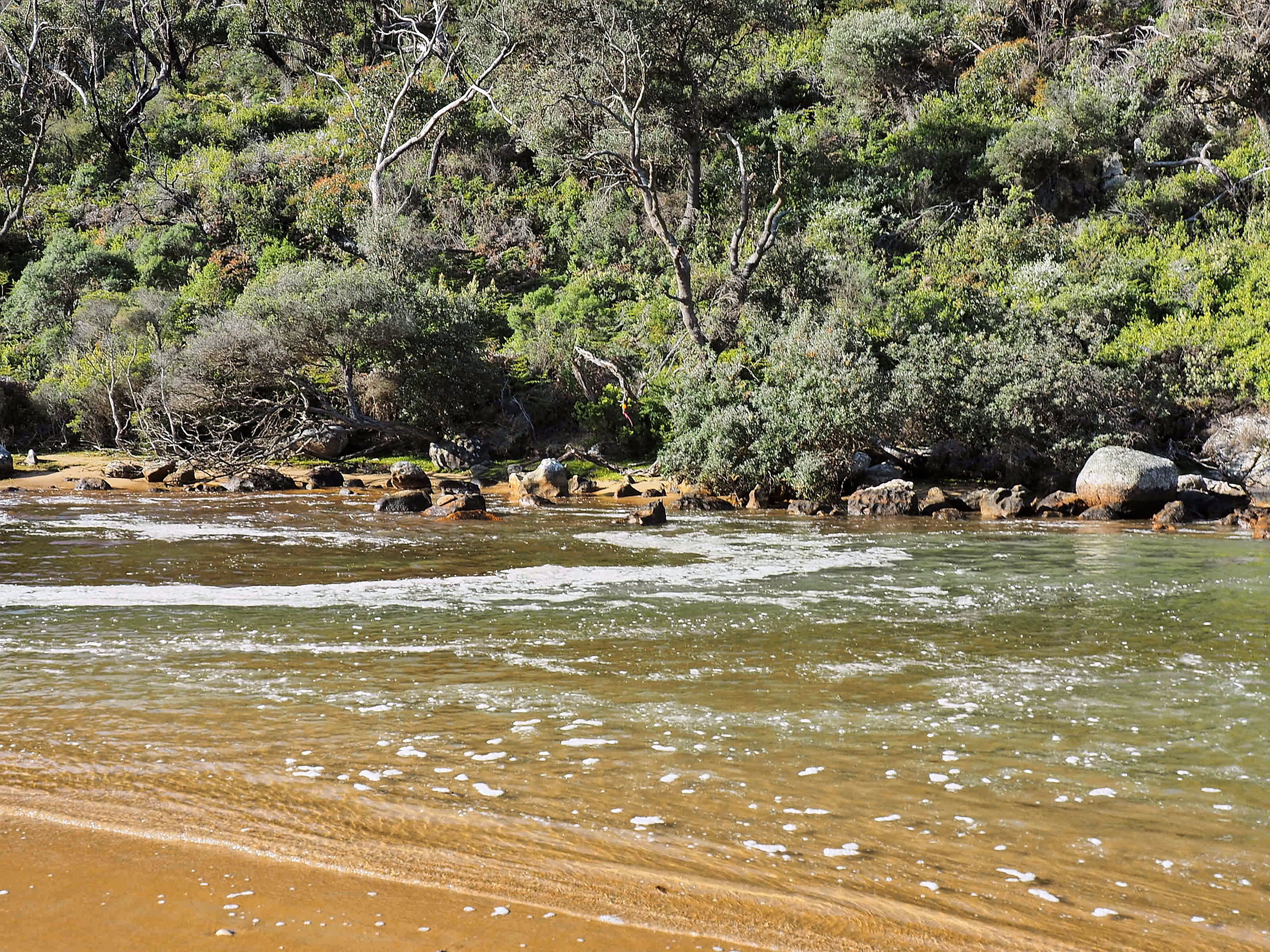 Wilsons Prom northern circuit